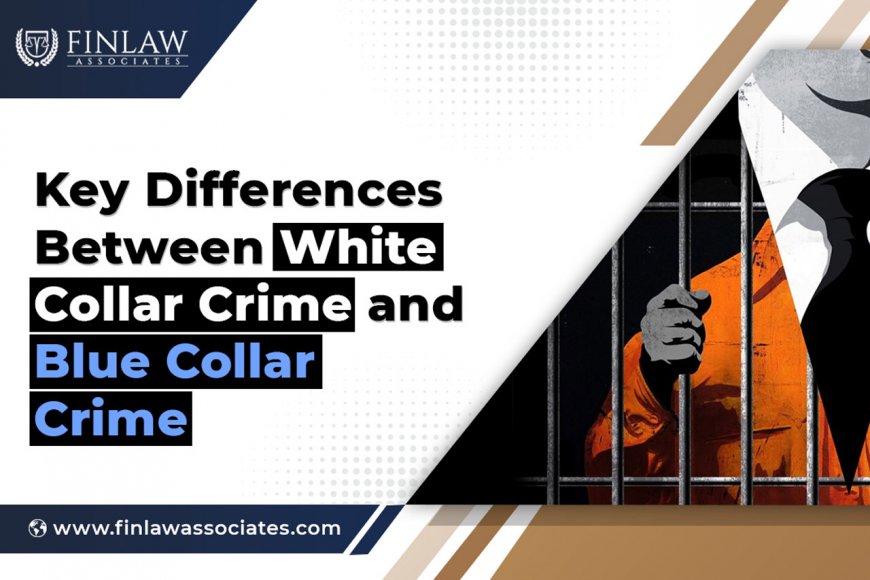Key Differences Between White Collar Crime and Blue Collar Crime ...